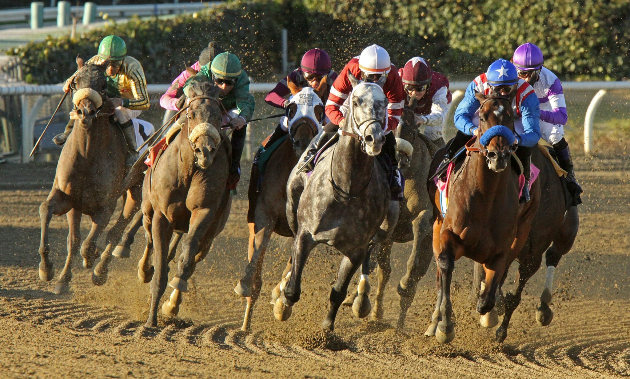 LED Stadium Lights at Charles Town Track | Olympia Lighting